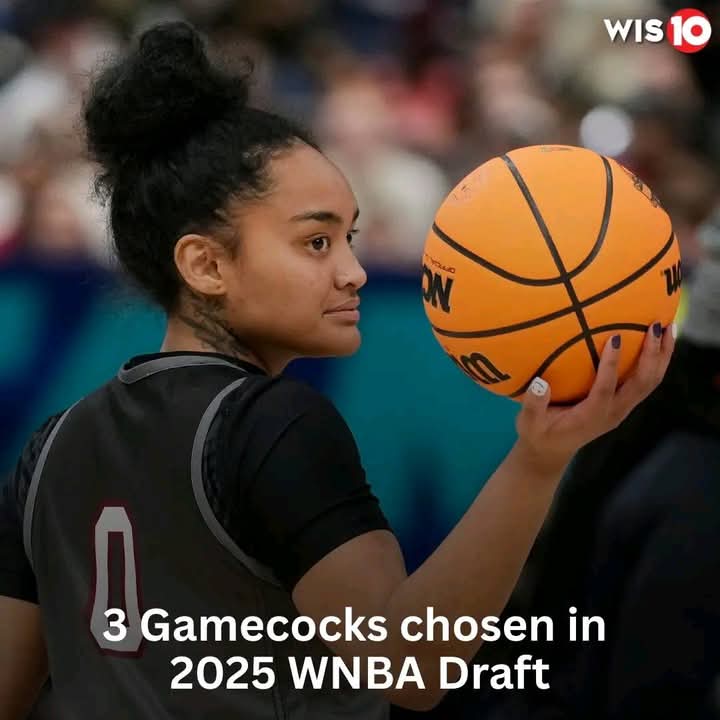 Three Former South Carolina Gamecocks Take Flight: A Triumphant Night ...